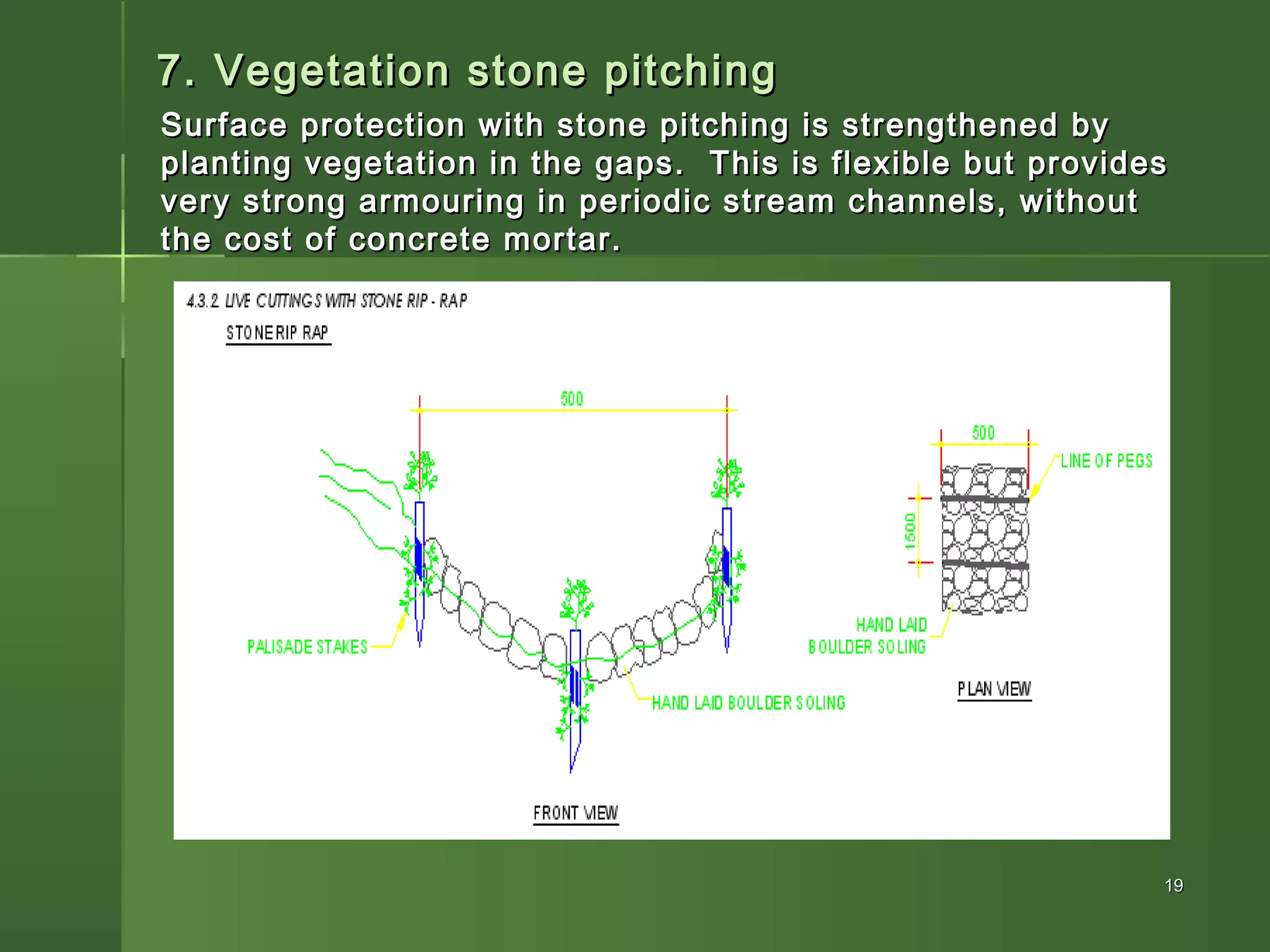 Bio-engineering power point Presentation | PPT