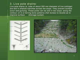 Bio-engineering power point Presentation | PPT