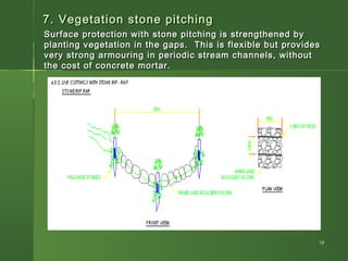 Bio-engineering power point Presentation | PPT