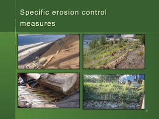 Bio-engineering power point Presentation | PPT