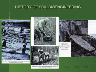 Bio-engineering power point Presentation | PPT