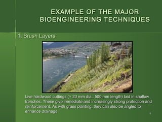 Bio-engineering power point Presentation | PPT
