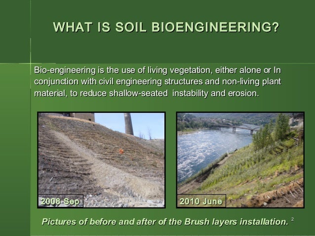 Bio-engineering power point Presentation