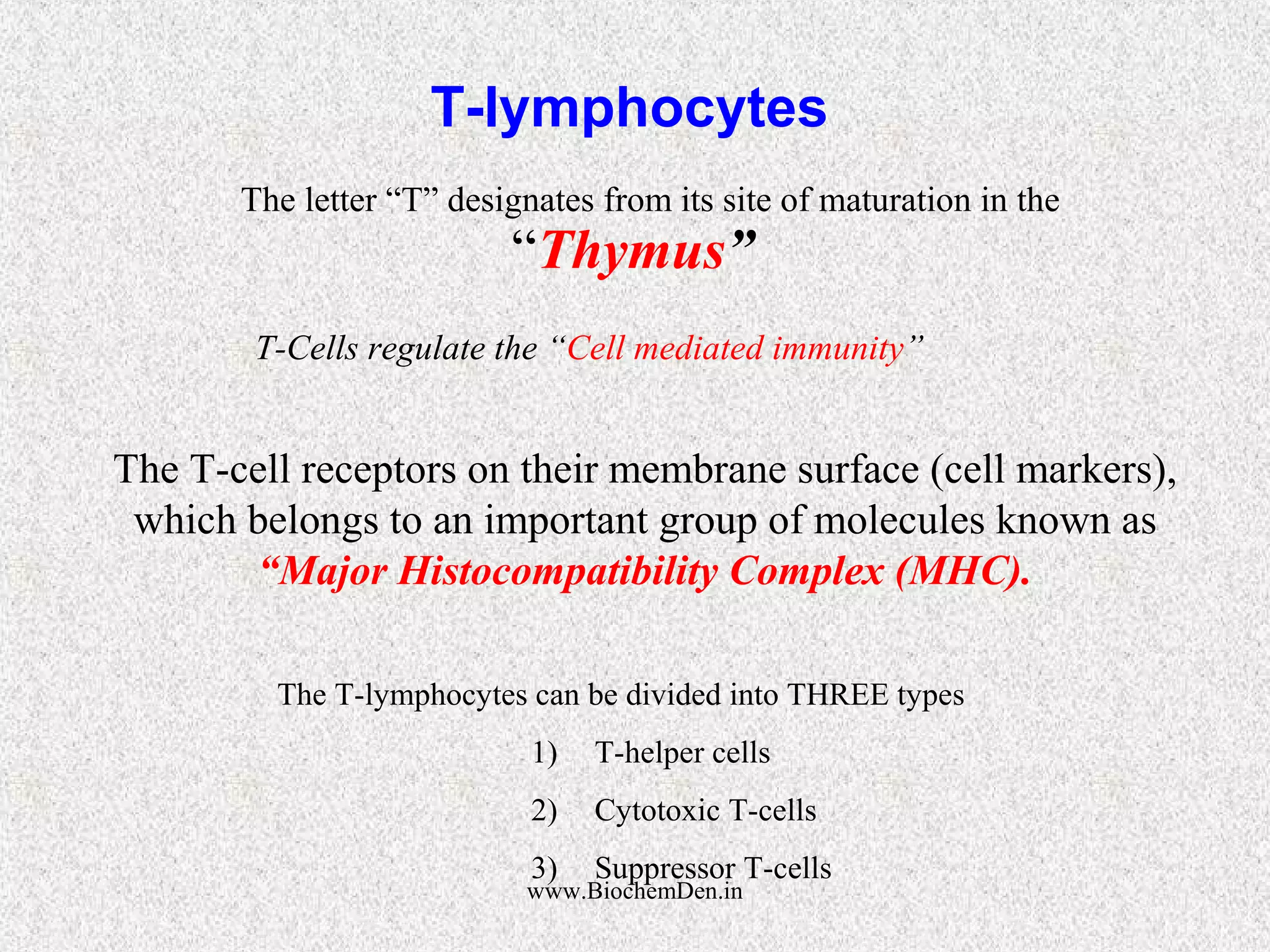 Cells of the immune system | PPT