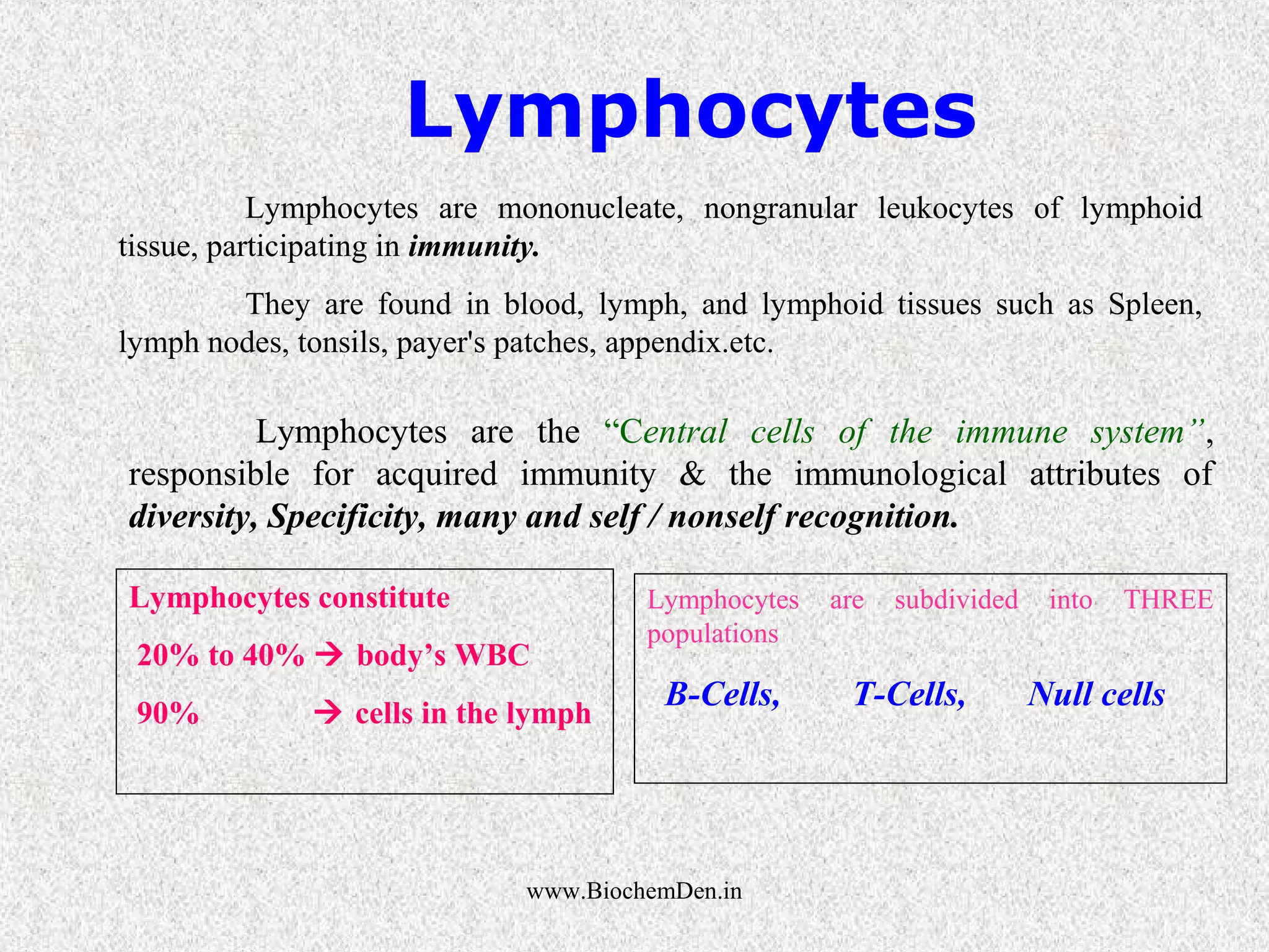 Cells of the immune system | PPT