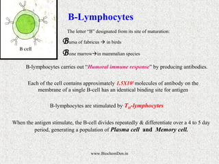Cells of the immune system | PPT