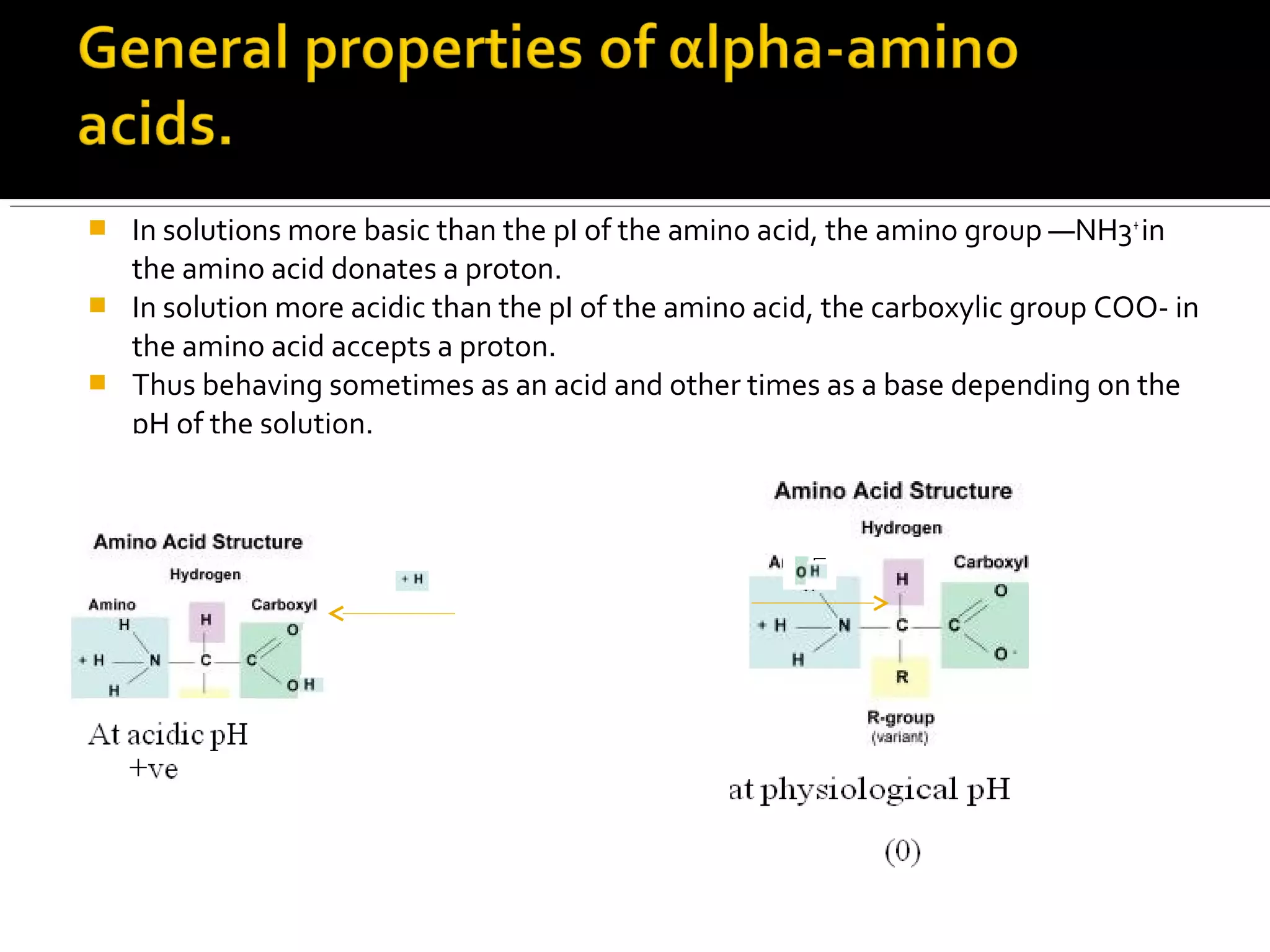 amino acids properties | PPT | Chemistry | Science