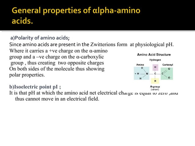 amino acids properties | PPT | Chemistry | Science