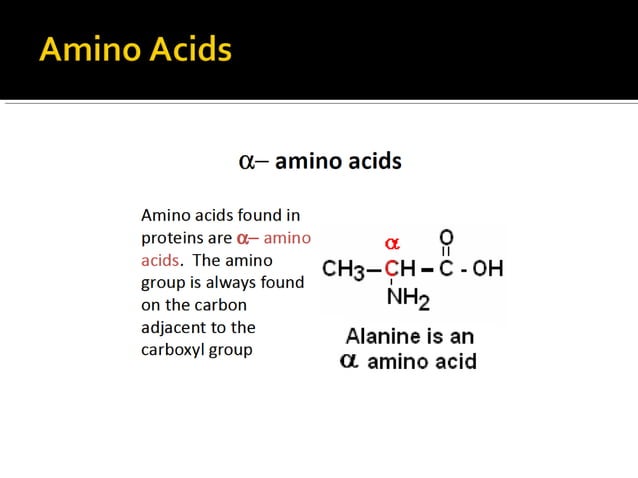 amino acids properties | PPT | Chemistry | Science