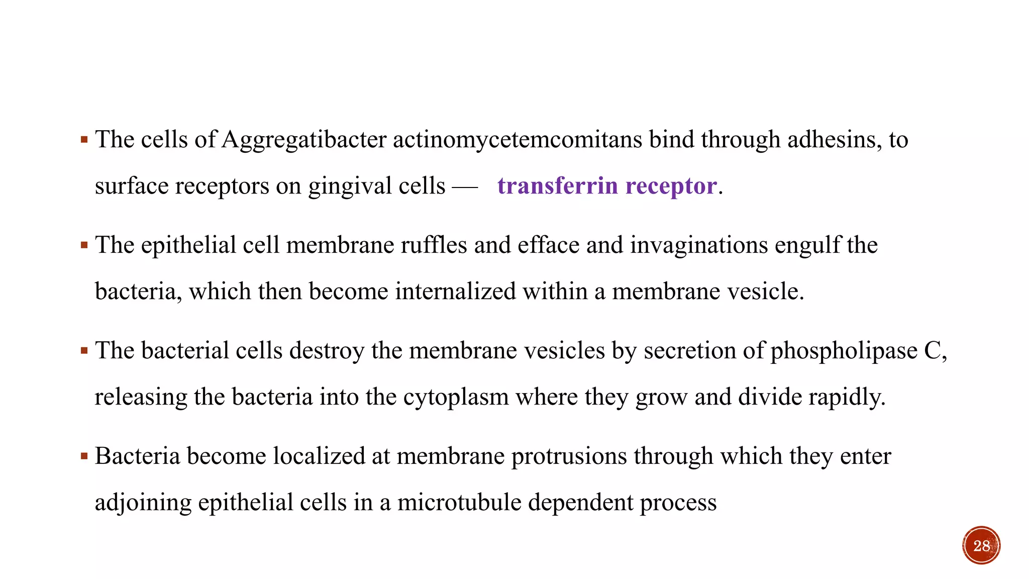 Aggregatibacter actinomycetemcomitans | PPTX