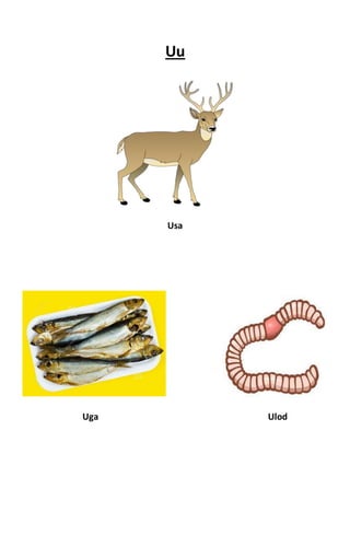 Examples of Hiligaynon Words | DOCX