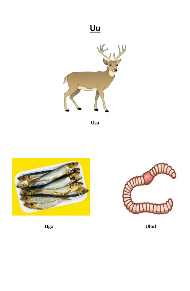 Examples of Hiligaynon Words | DOCX