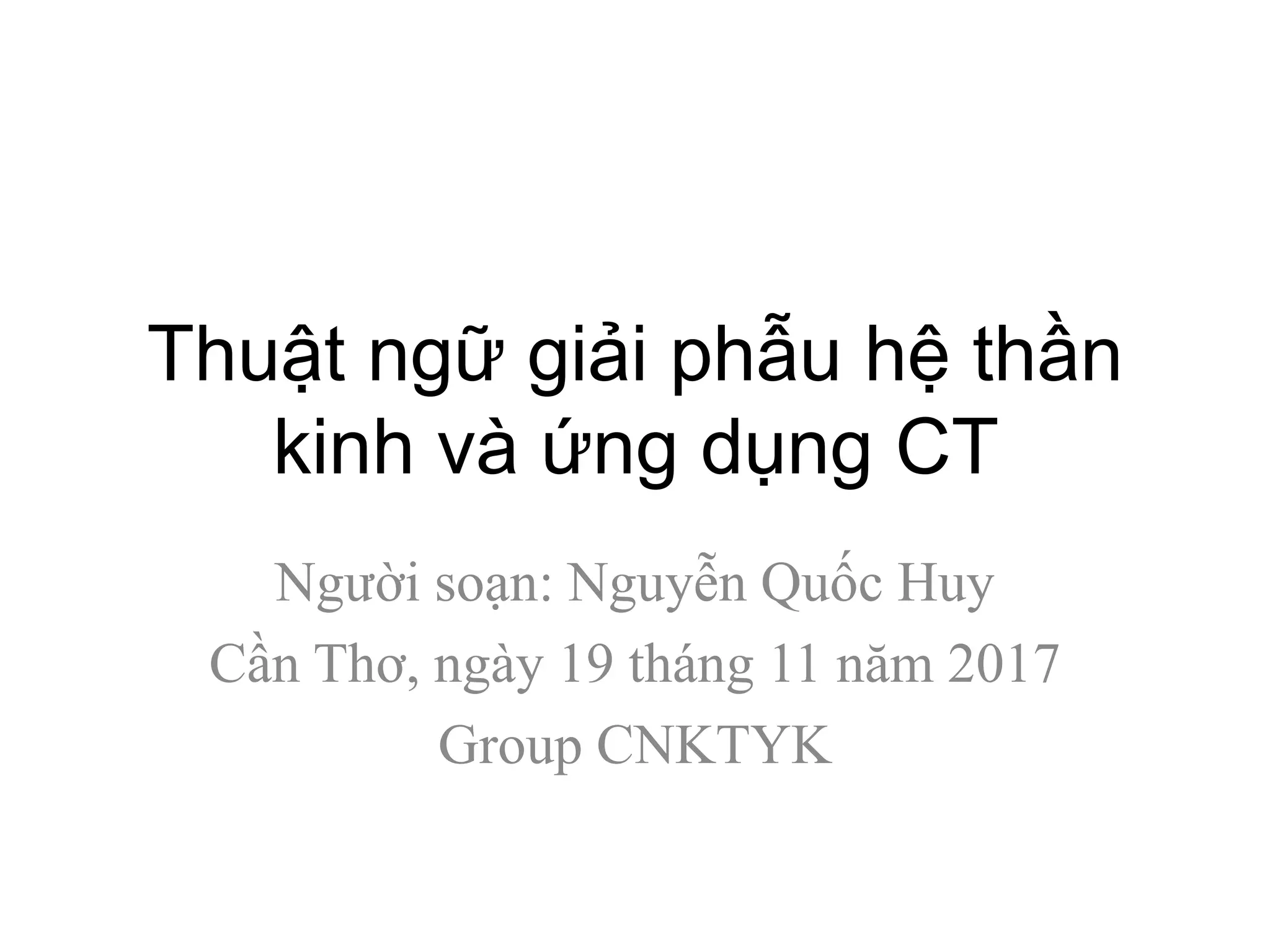 Thuật ngữ giải phẫu hệ thần kinh và ứng dụng CT | PPT