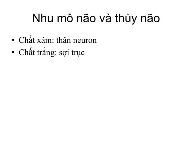 Thuật ngữ giải phẫu hệ thần kinh và ứng dụng CT | PPT