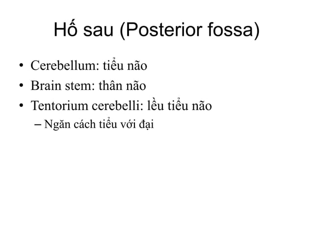 Thuật ngữ giải phẫu hệ thần kinh và ứng dụng CT | PPT
