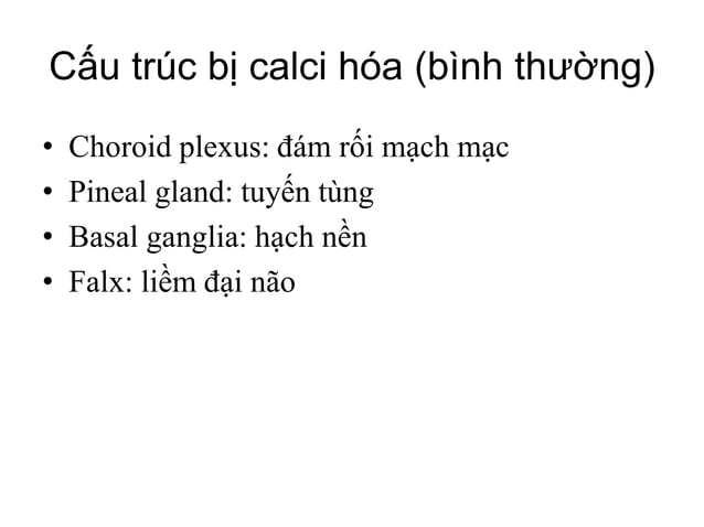 Thuật ngữ giải phẫu hệ thần kinh và ứng dụng CT | PPT