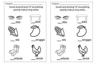 Aa-and-Mm-Activity.docx