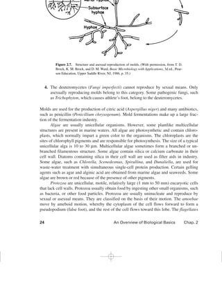 AA095-22-Michael L. Shuler, Fikret Kargi - Bioprocess Engineering ...