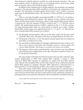 AA095-22-Michael L. Shuler, Fikret Kargi - Bioprocess Engineering ...
