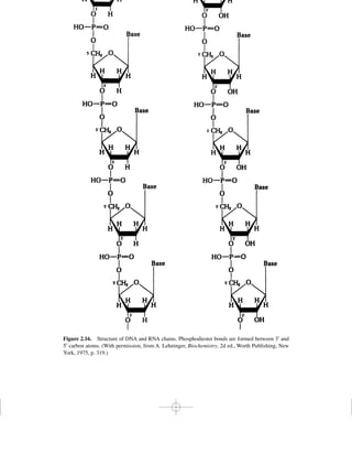 AA095-22-Michael L. Shuler, Fikret Kargi - Bioprocess Engineering ...