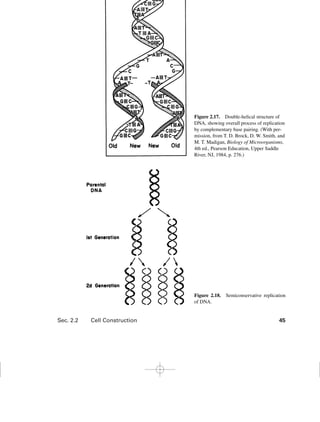 AA095-22-Michael L. Shuler, Fikret Kargi - Bioprocess Engineering ...