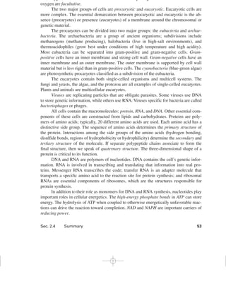 AA095-22-Michael L. Shuler, Fikret Kargi - Bioprocess Engineering ...