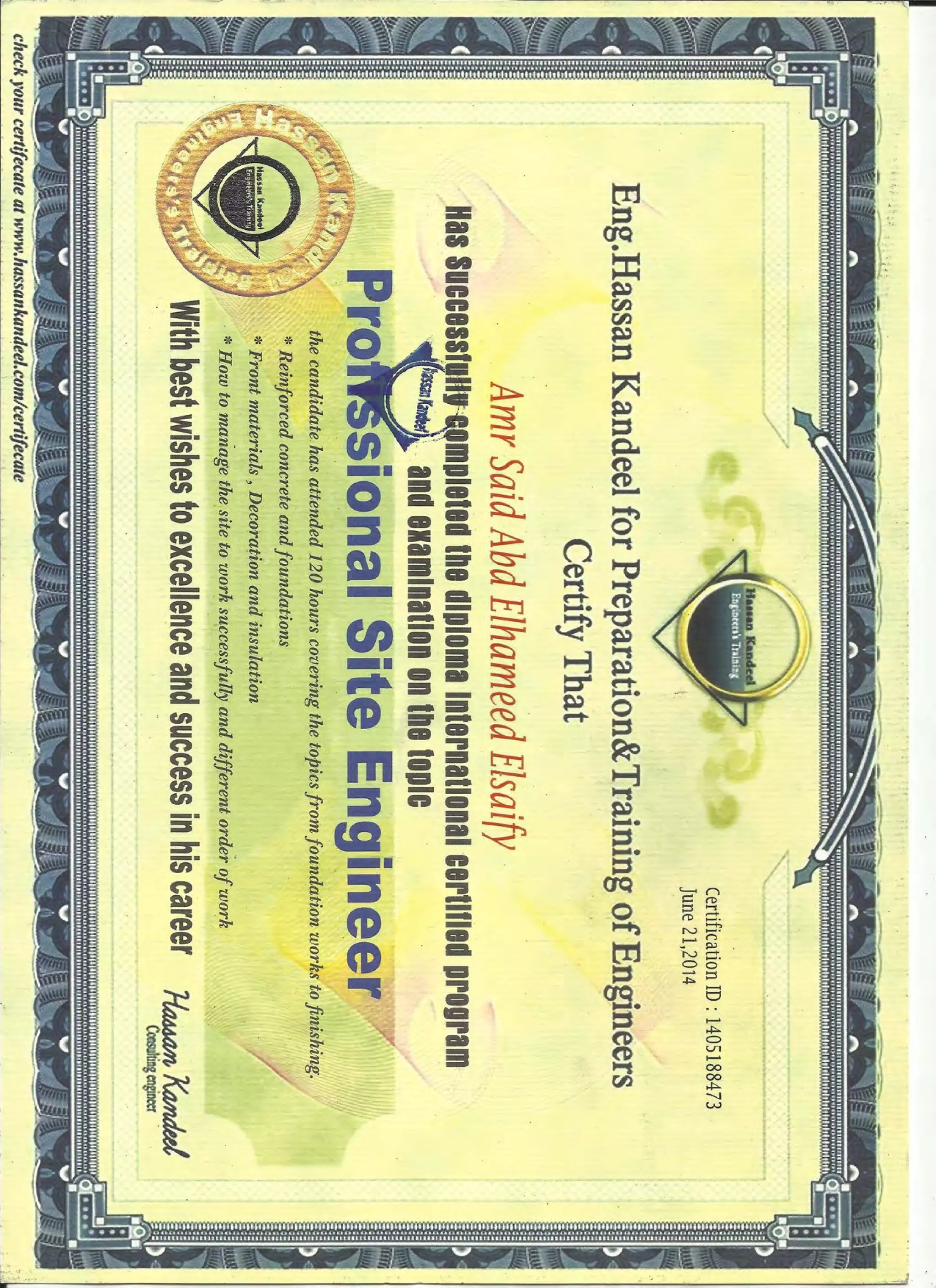 Amr Elsaify CV. | PDF