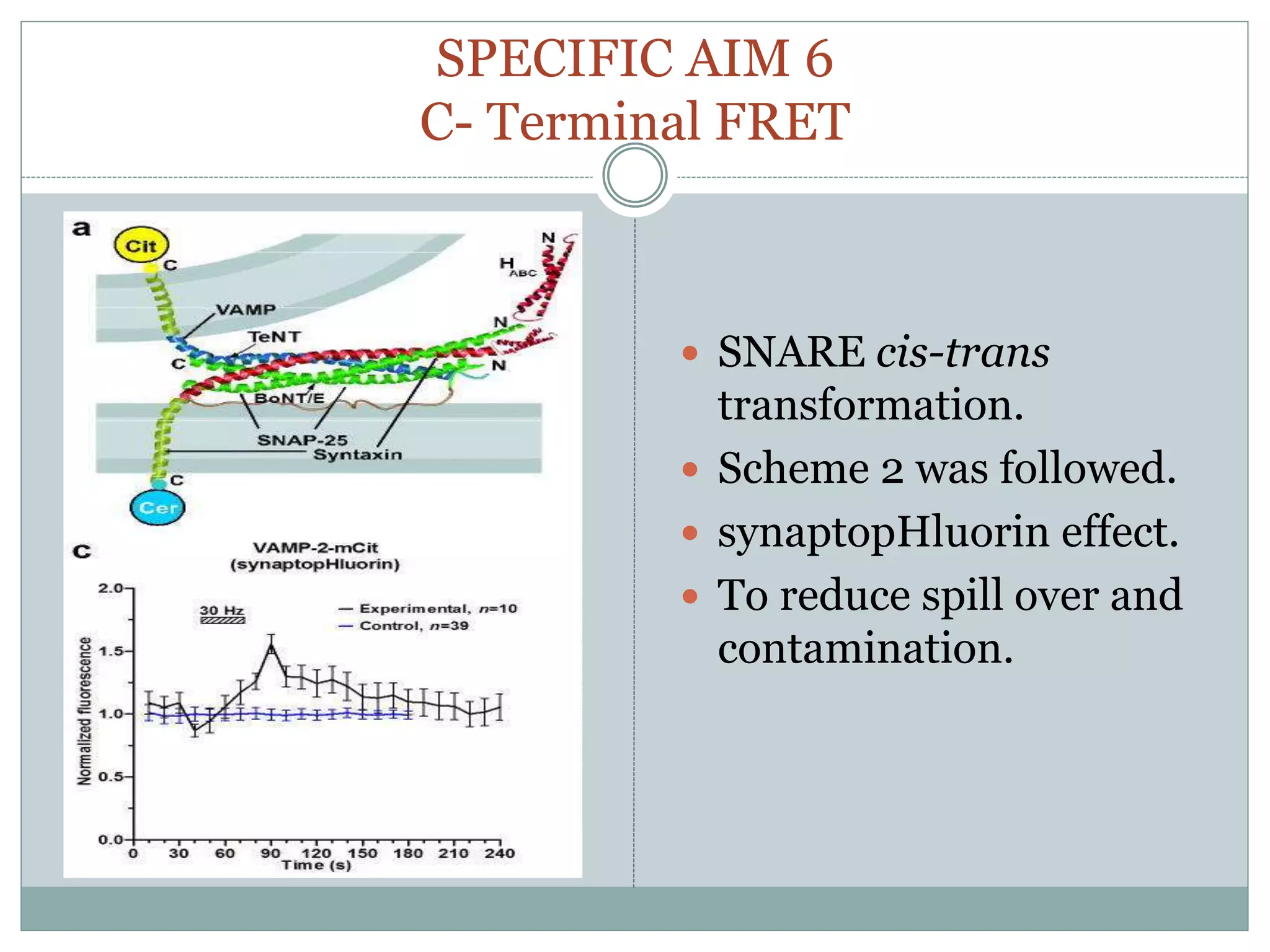 Fluorescence(Forster) Resonance Energy Transfer | PPTX