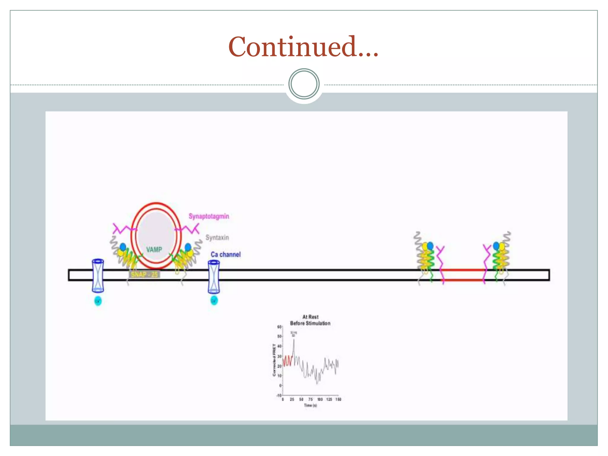 Fluorescence(Forster) Resonance Energy Transfer | PPTX