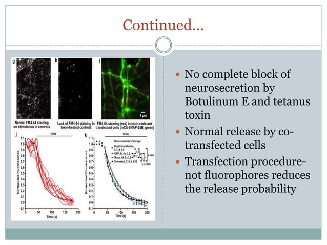Fluorescence(Forster) Resonance Energy Transfer | PPTX | Chemistry ...