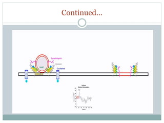 Fluorescence(Forster) Resonance Energy Transfer | PPTX