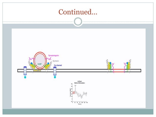 Fluorescence(Forster) Resonance Energy Transfer | PPTX | Chemistry ...
