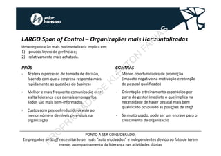 Span of Control | PDF
