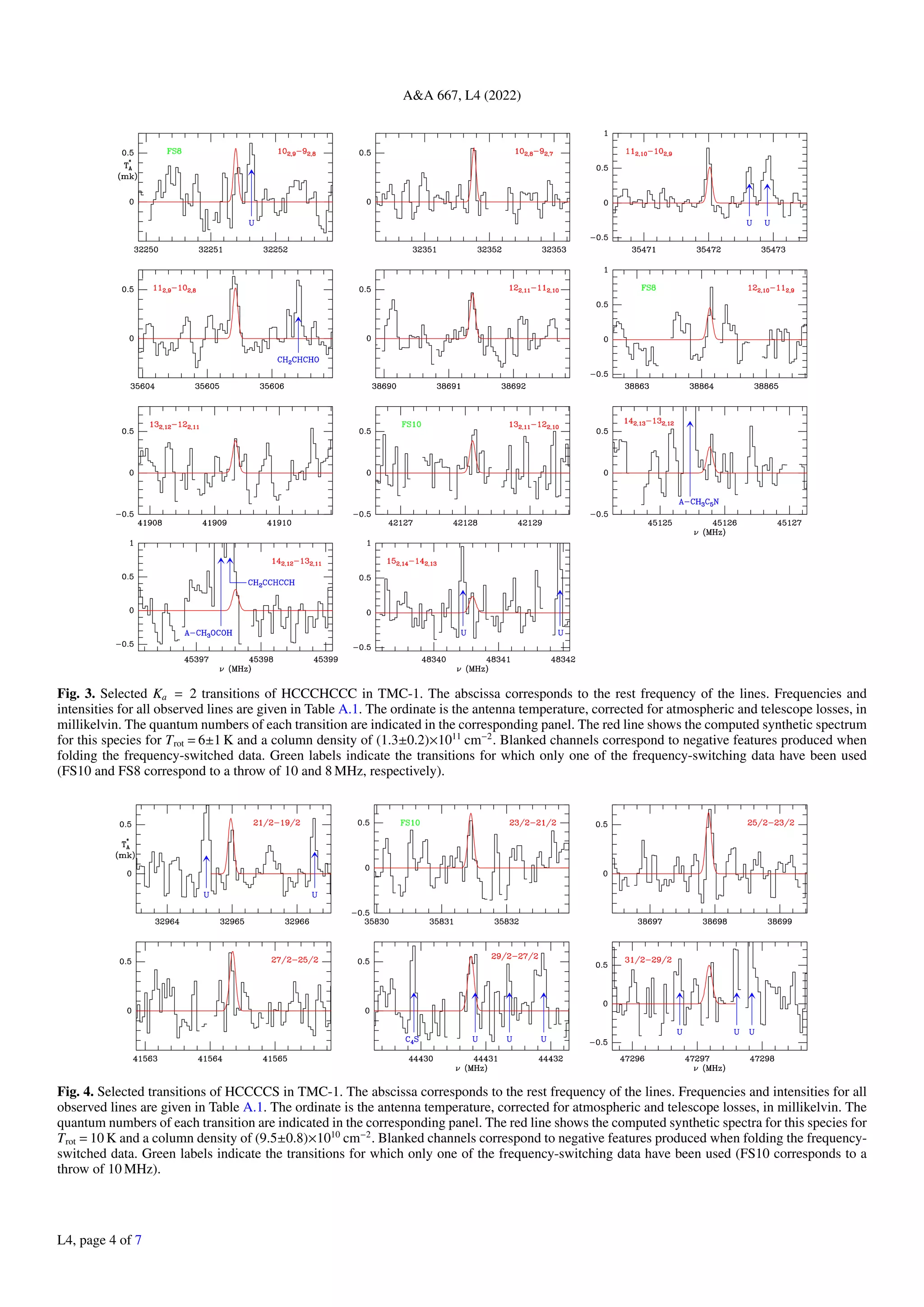 Discovery of two new interstellar molecules with QUIJOTE: HCCCHCCC and ...