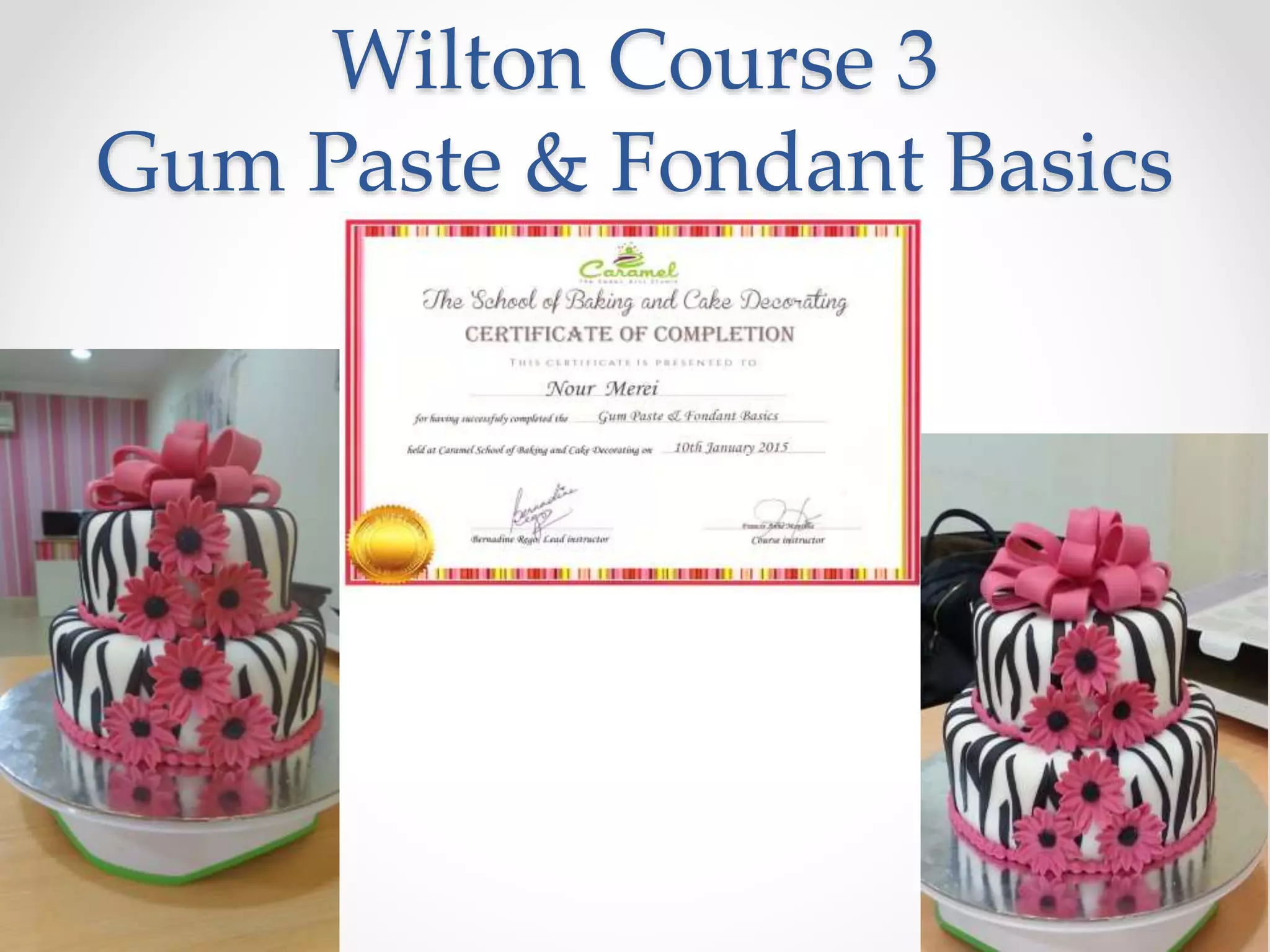 Course Cake Presentation & Certificate - Nour Merei | PPSX