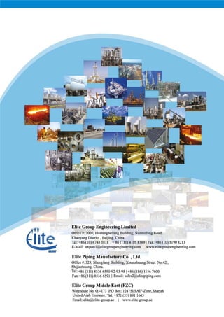 Elite Group Profile | PDF