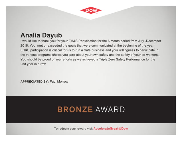 Bronze award_ecertificate | PDF