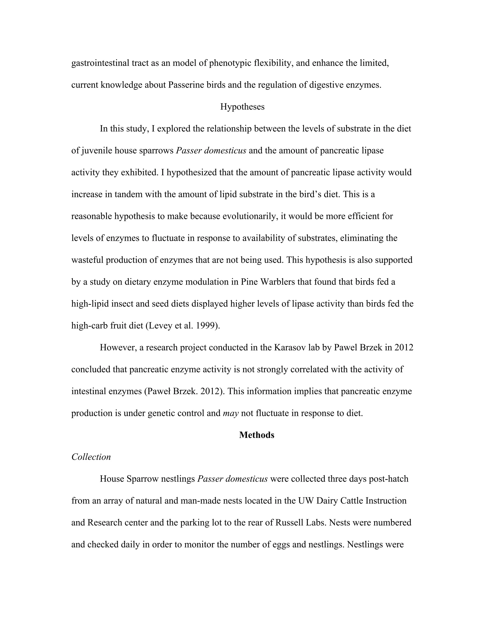 PancreaticLipaseResearchPaper | PDF