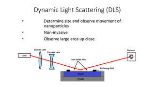 DLS_Presentation | PPTX | Chemistry | Science