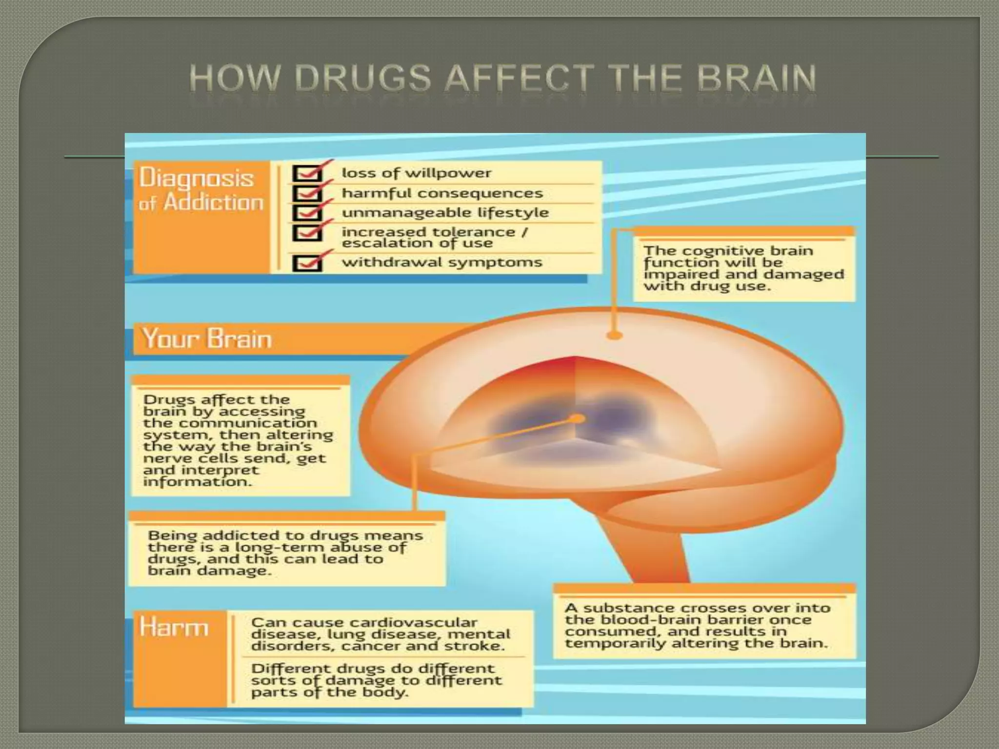 HOW DRUGS AFFECT THE BRAIN | PPTX