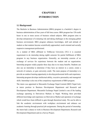 Internship Report | PDF