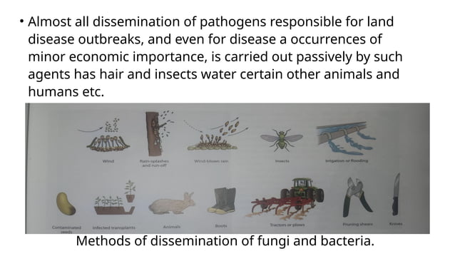 Parasitism and disease development in plants | PPTX