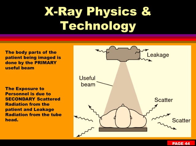 Radiation Safety In CT and CBCT | PDF