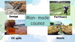 aaa-water-pollution.pptx