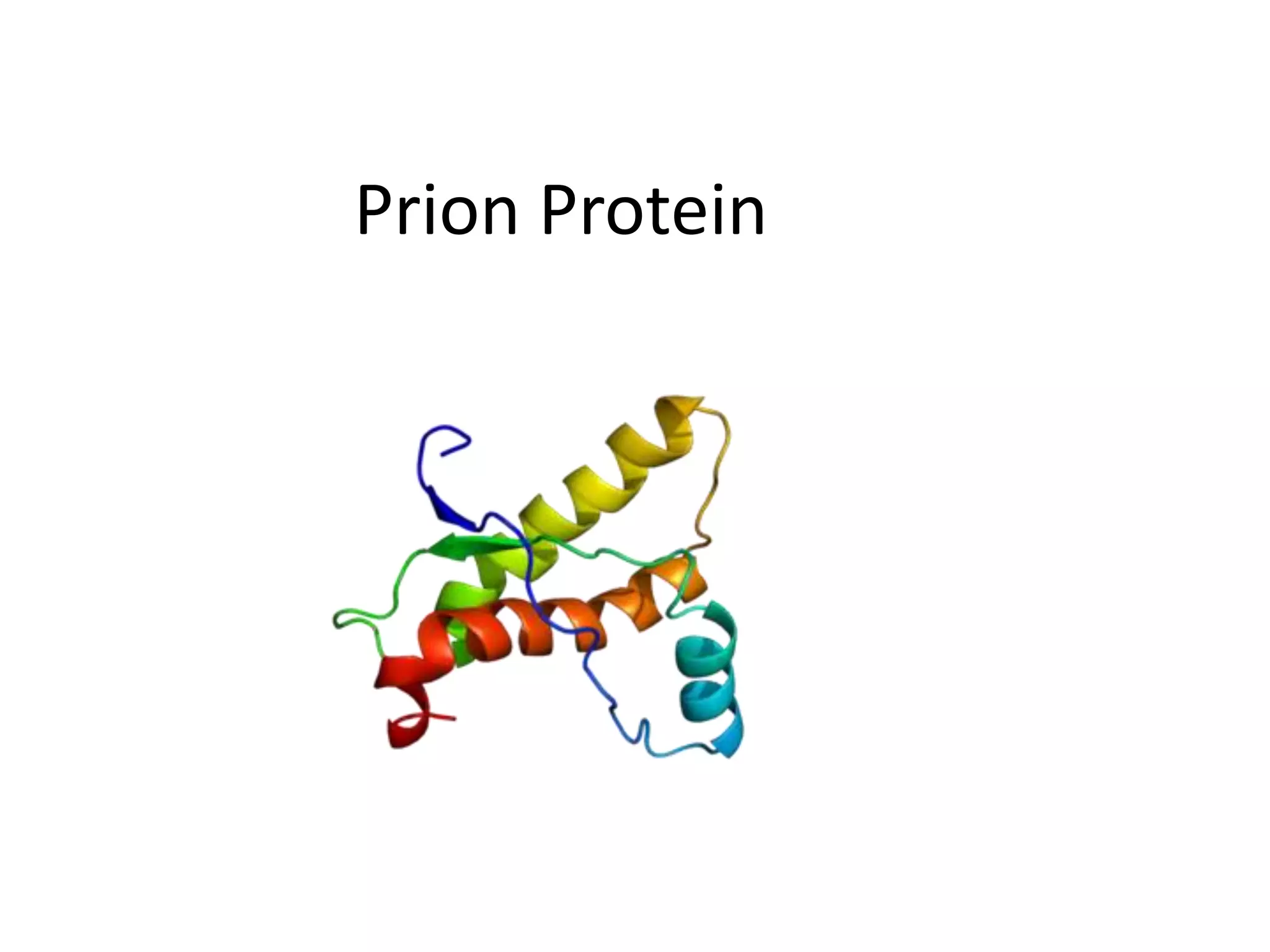 Prion Protein | PPTX | Brain and Nervous System Disorders | Diseases ...
