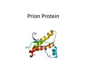 Prion Protein | PPTX | Brain and Nervous System Disorders | Diseases ...