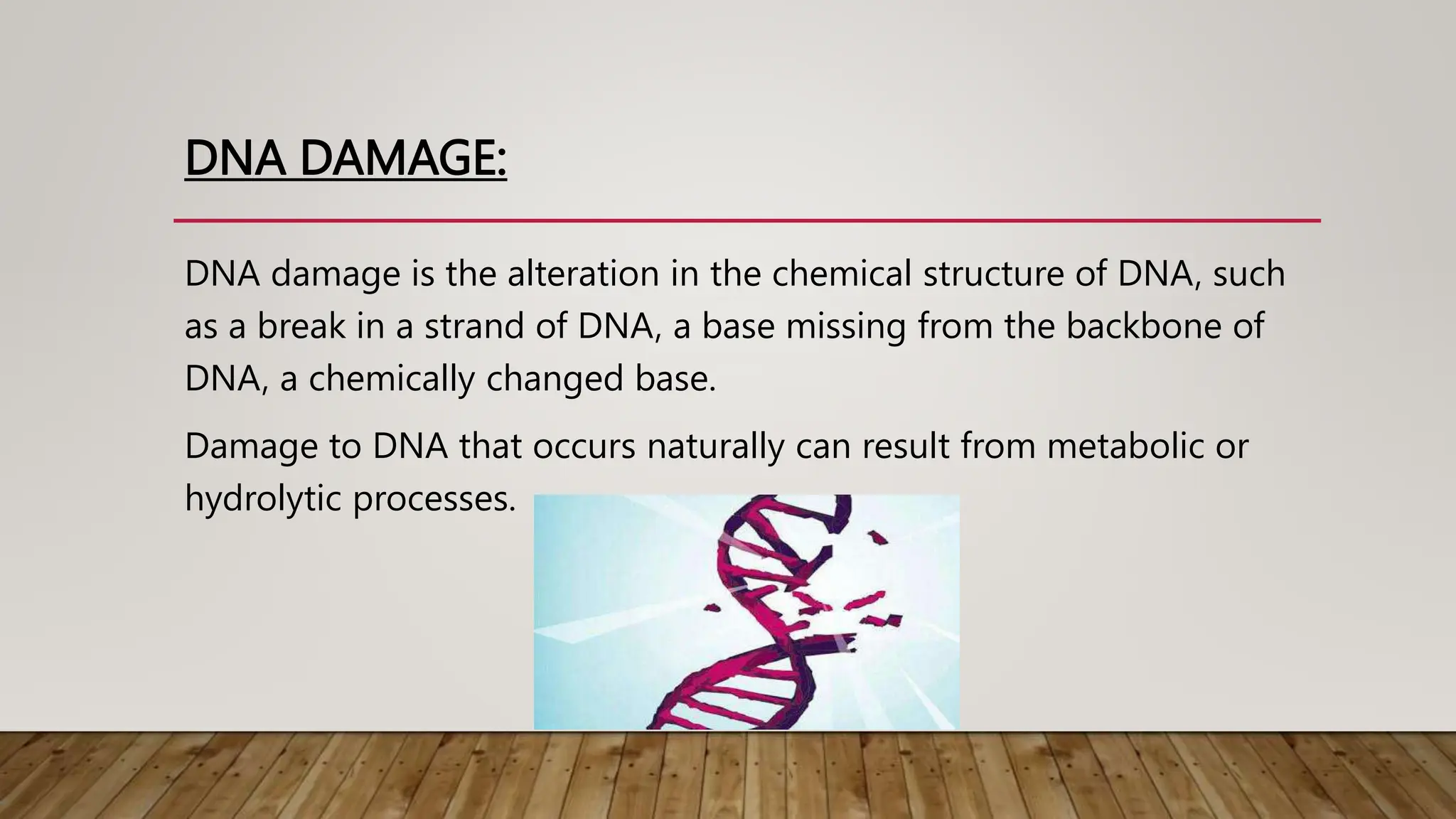 DNA damage and repair and complete processes include in it. | PPTX