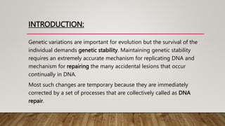 DNA damage and repair and complete processes include in it. | PPTX