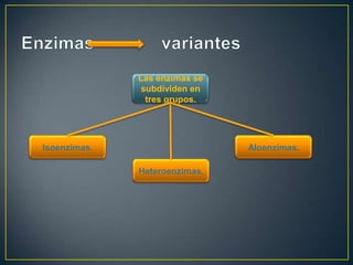 Las enzimas en el diagnóstico clínico | PPTX