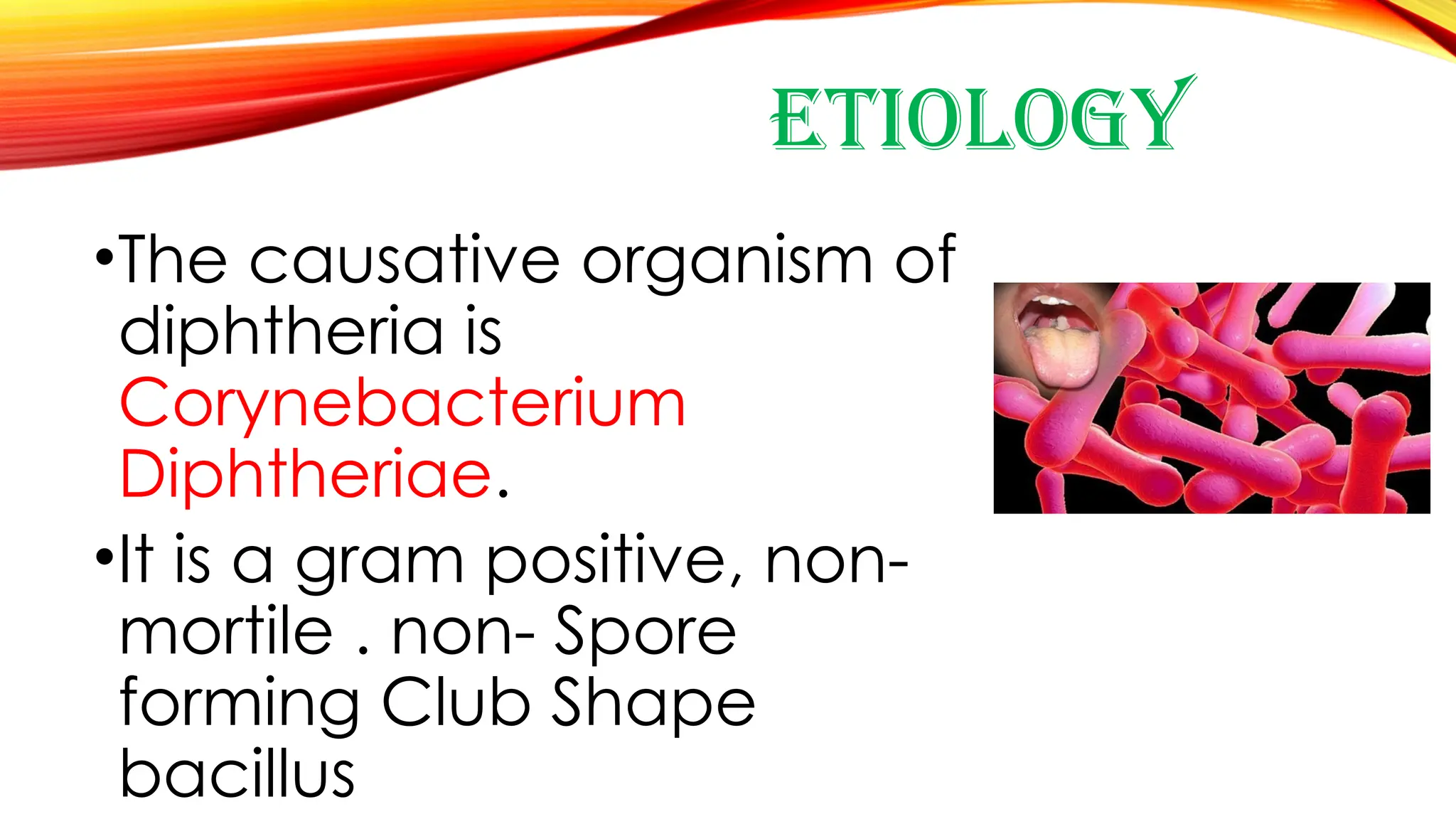 DIPHTHERIA , definition , introduction | PPTX